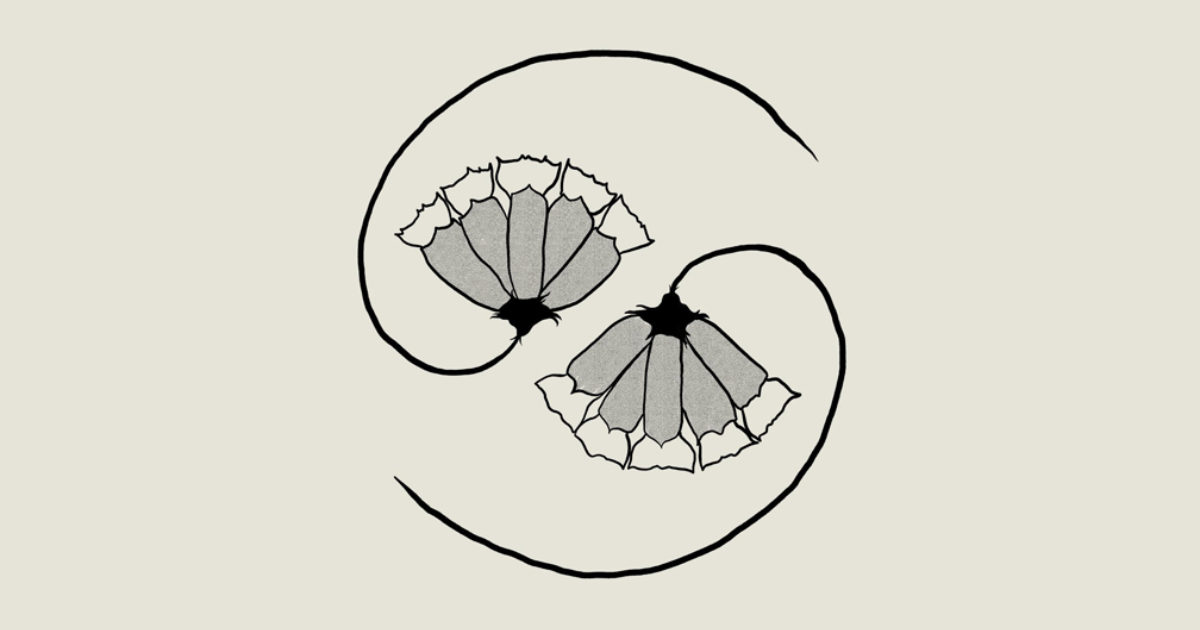 Album review: Godspeed You! Black Emperor – G_d’s Pee AT… | Kerrang!