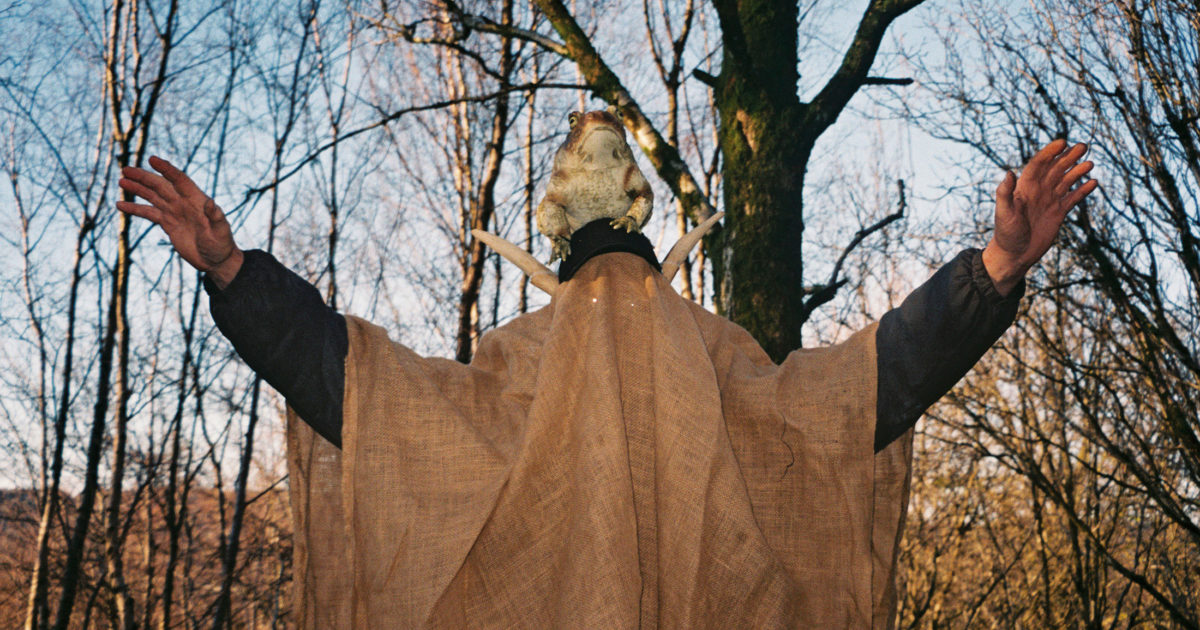 “I’m under the influence of wood nymphs”: Meet Barry The… | Kerrang!