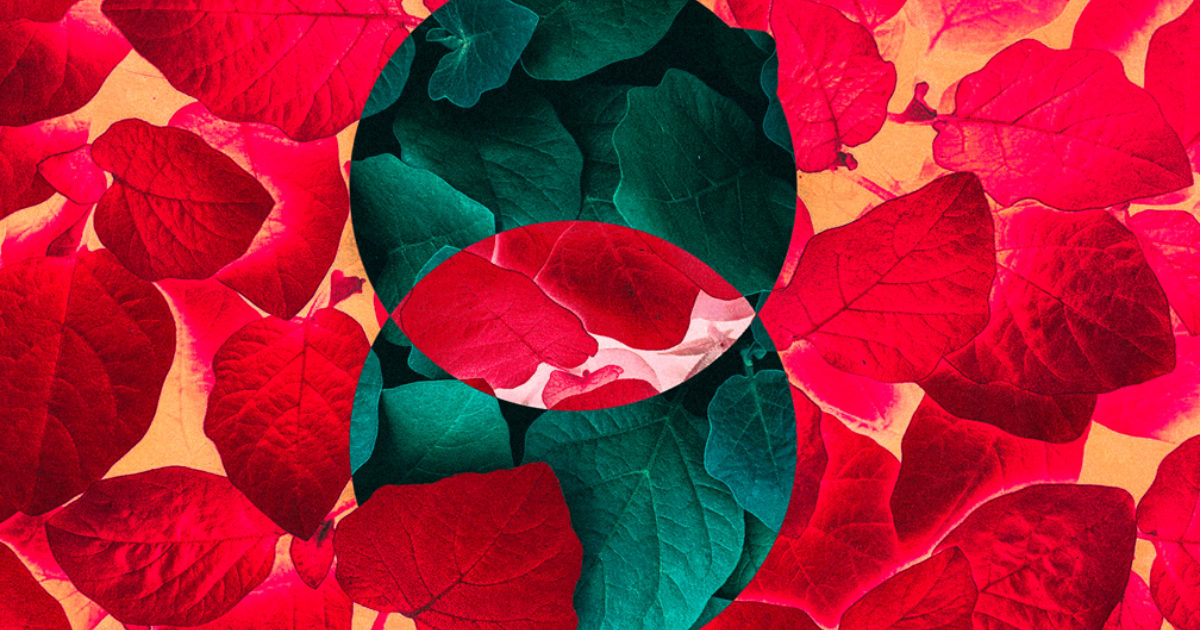 Album review: Juniper Youth – Blood Remembers | Kerrang!