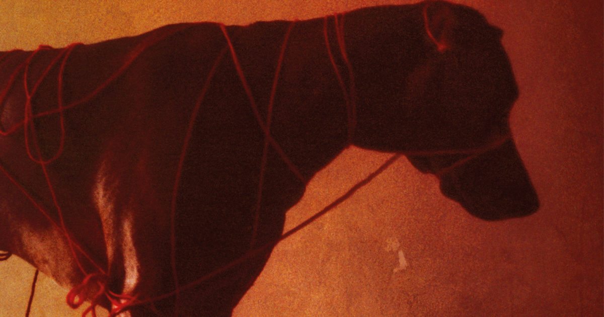 Album review: Still In Love – Recovery Language | Kerrang!