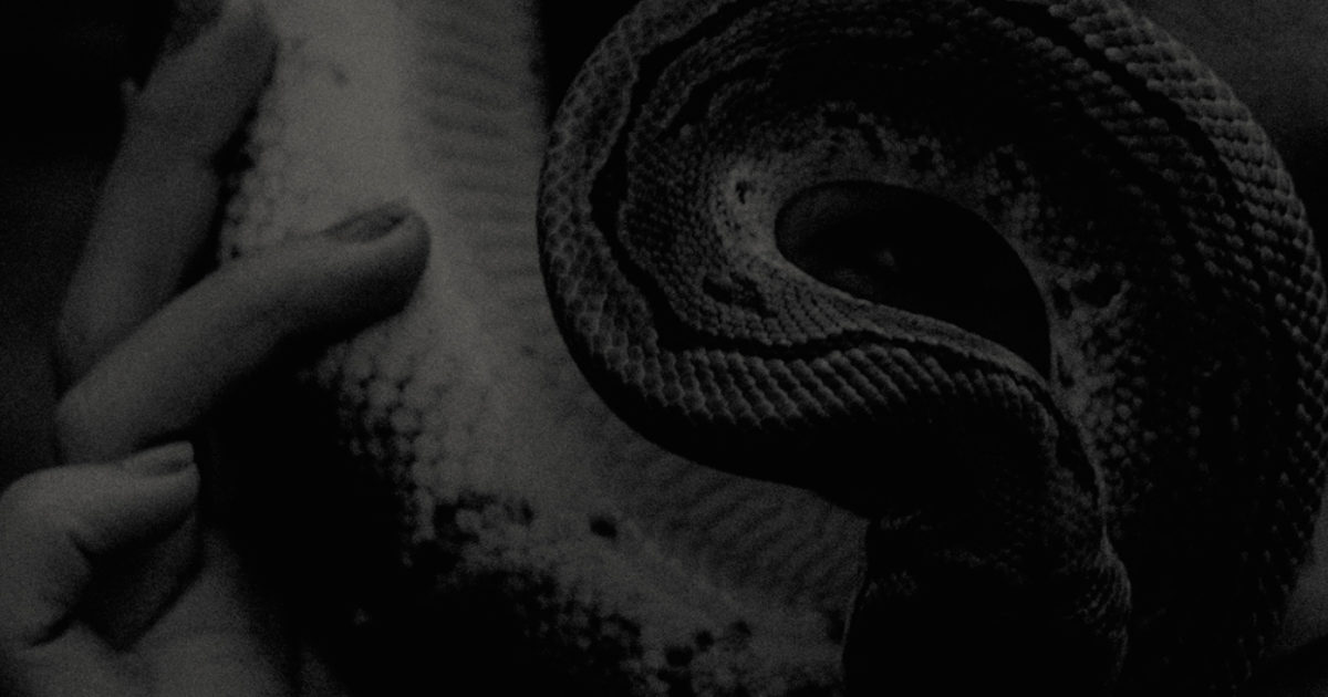 Album review: Godflesh – Purge | Kerrang!