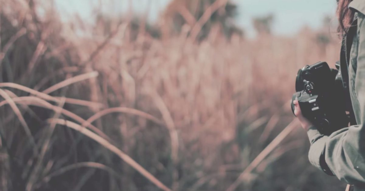 Listen To Classical-Flavoured Music By Chester… | Kerrang!